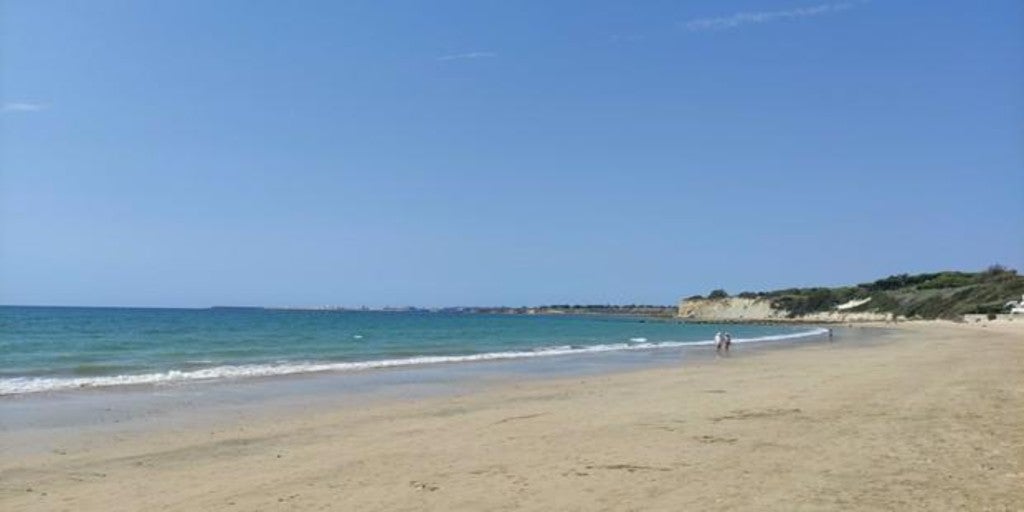 Adjudicadas las obras del nuevo paseo peatonal entre las playas de Las ...